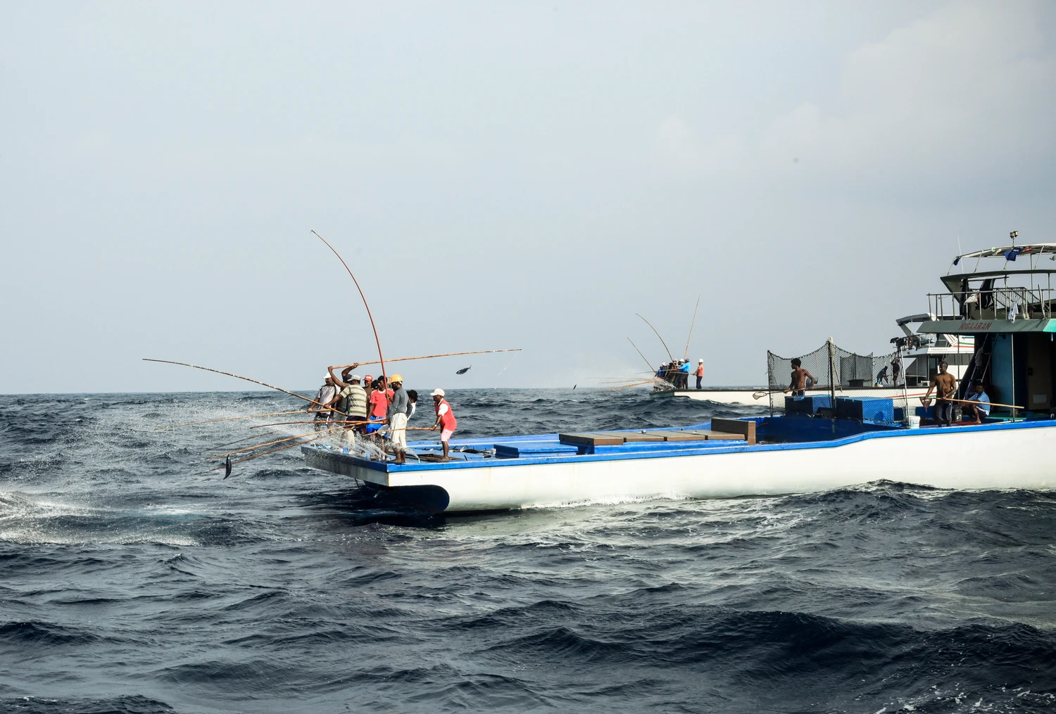 Extension Announcement: Applications Open for Skipper's and Reef ...